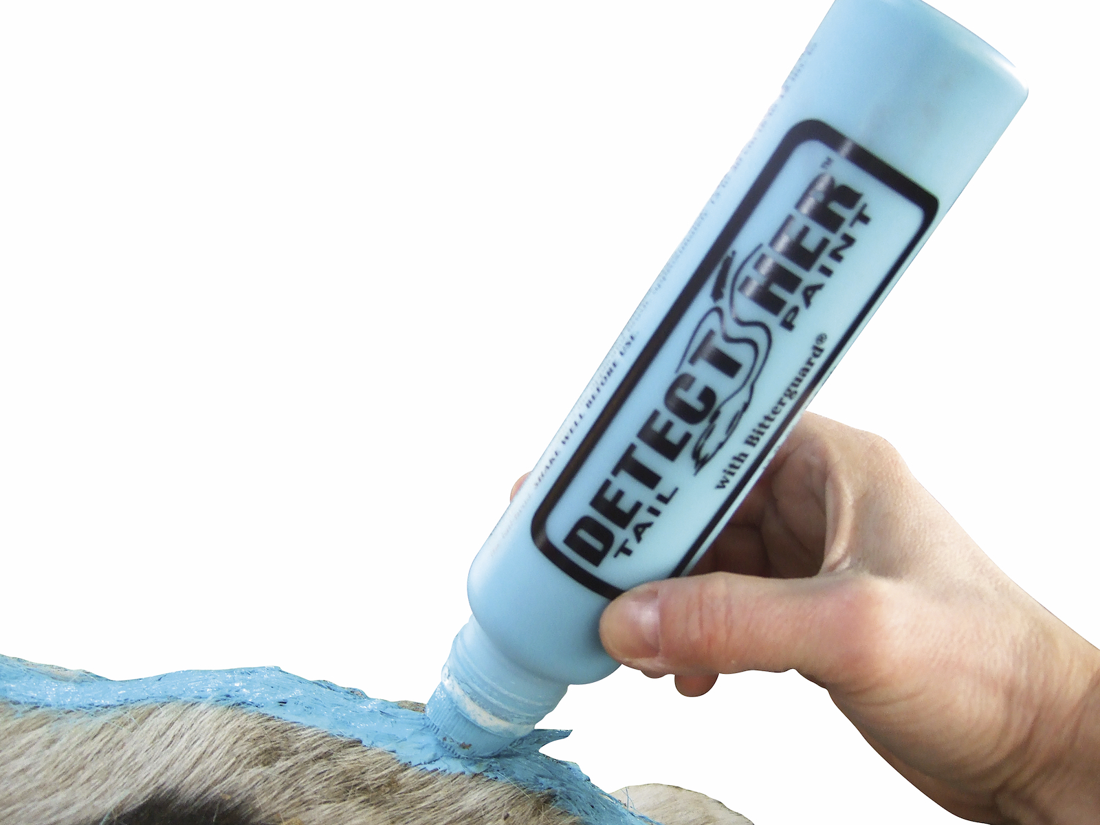 Tail Paint