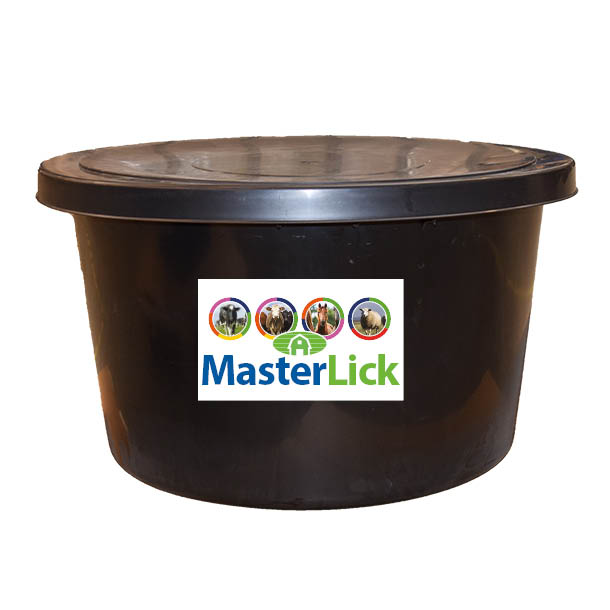 Masterlick Dry Nature - mineralspand